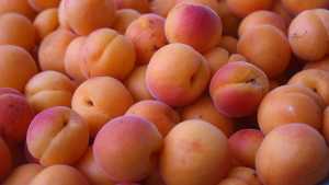 10 frutas de Turquia - Estambul.Net