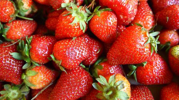 10 frutas de Turquia - Estambul.Net